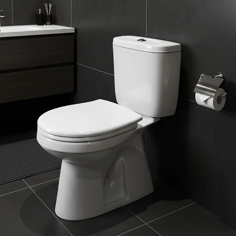 Унитаз-компакт Santek анимо 1. WH30.2.133, 00000048139 1WH302133