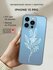 Чехол на Apple iPhone 13 Pro / Айфон 13 Про с принтом "Ветка с листочками и цвет...