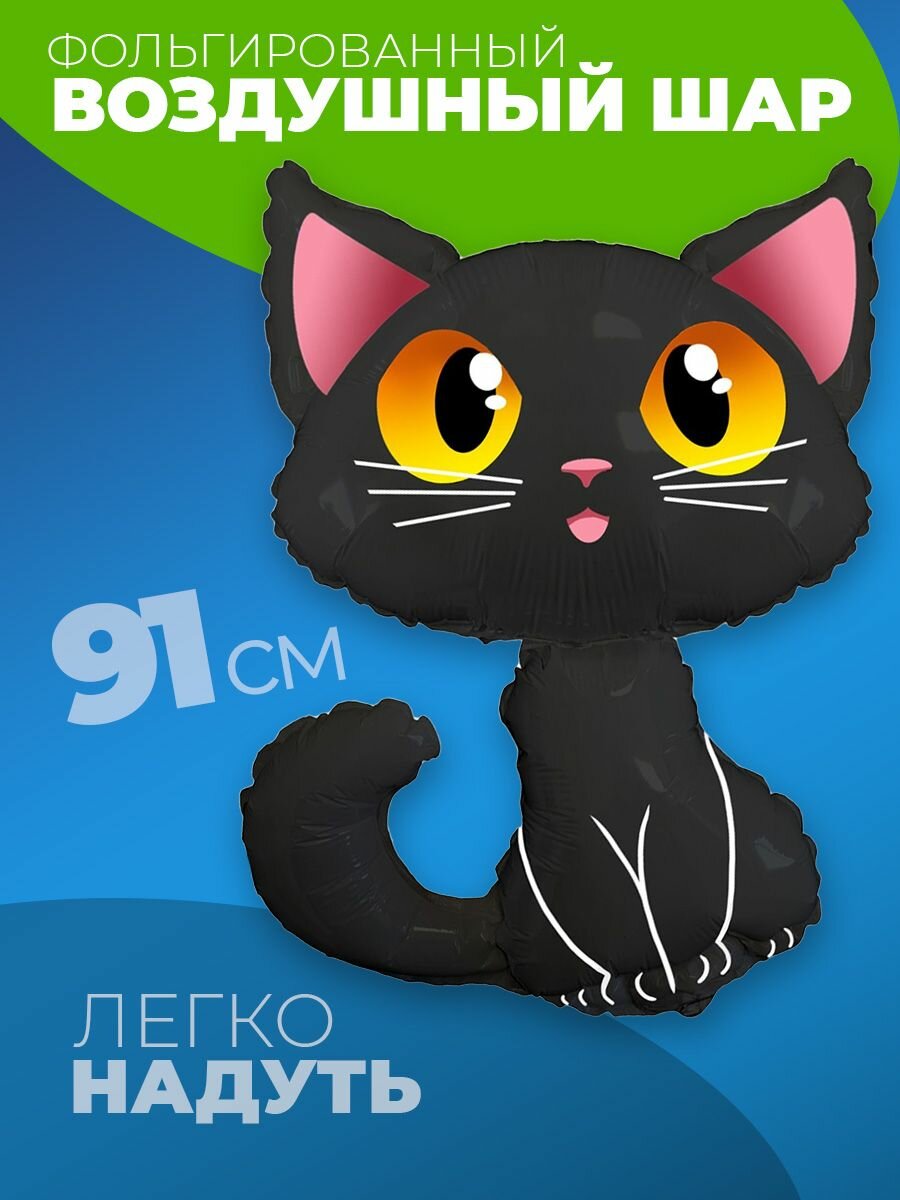 Воздушные шарики котенок