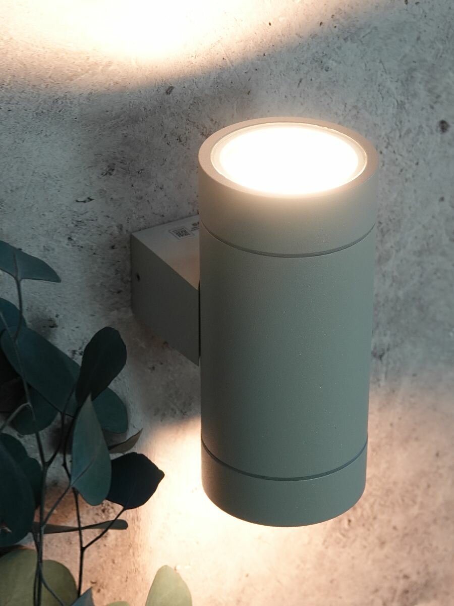 Светильник уличный настенный Paro Lightstar, IP65, металлический, 351609