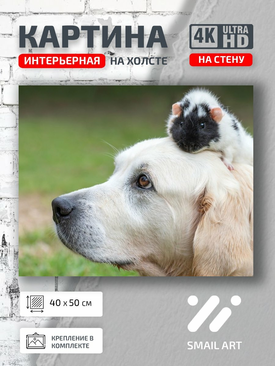 Картина на холсте интерьерная 40 на 50 на стену Голове Mood для офиса атмосфера интерьер