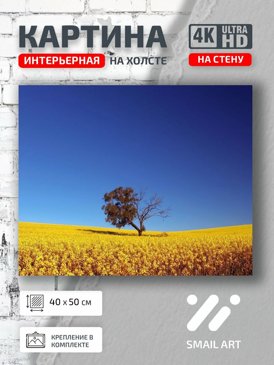 Картина на холсте интерьерная 40 на 50 на стену Небо Landscape для кабинета пейзаж интерьер