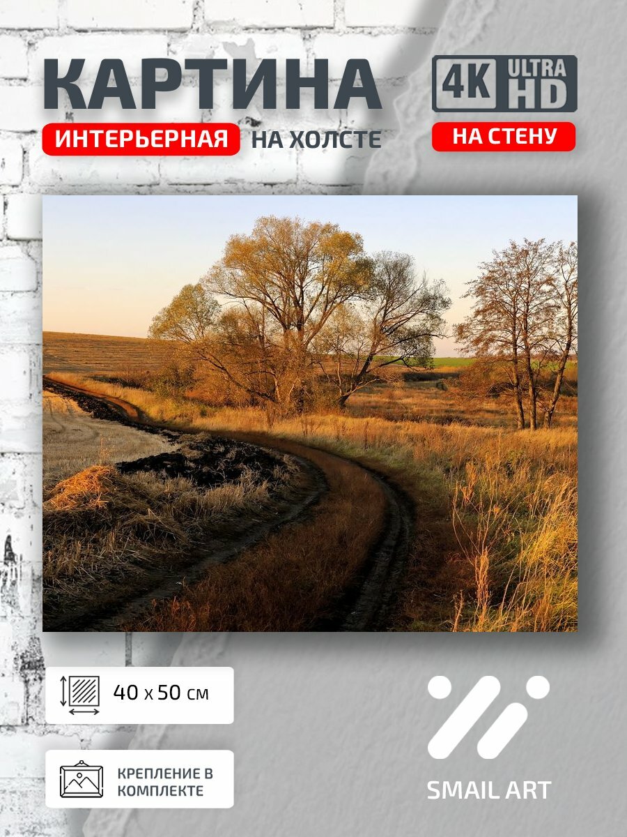 Картина на холсте интерьерная 40 на 50 на стену Дорога Landscape для спальни пейзаж декор