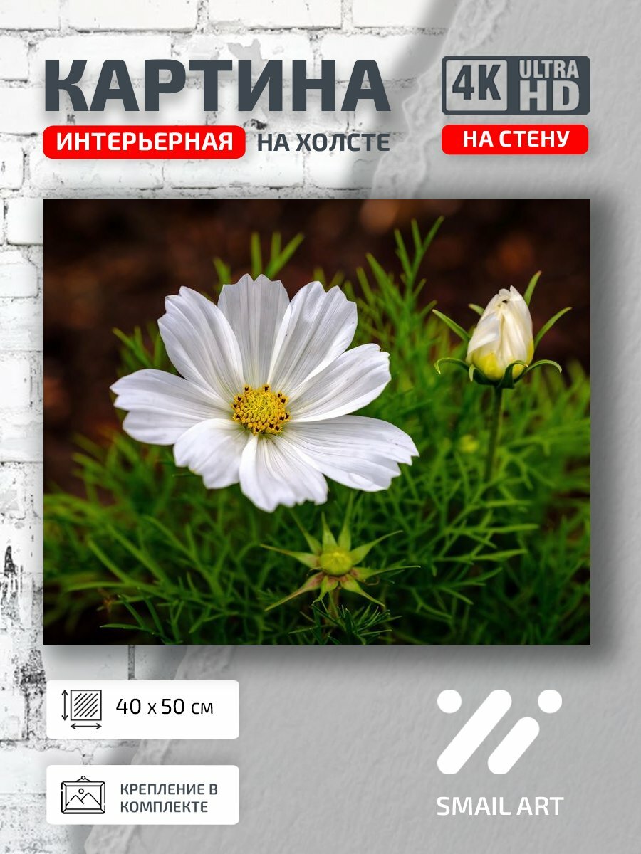 Картина на холсте интерьерная 40 на 50 на стену Куст Mood для спальни атмосфера интерьер