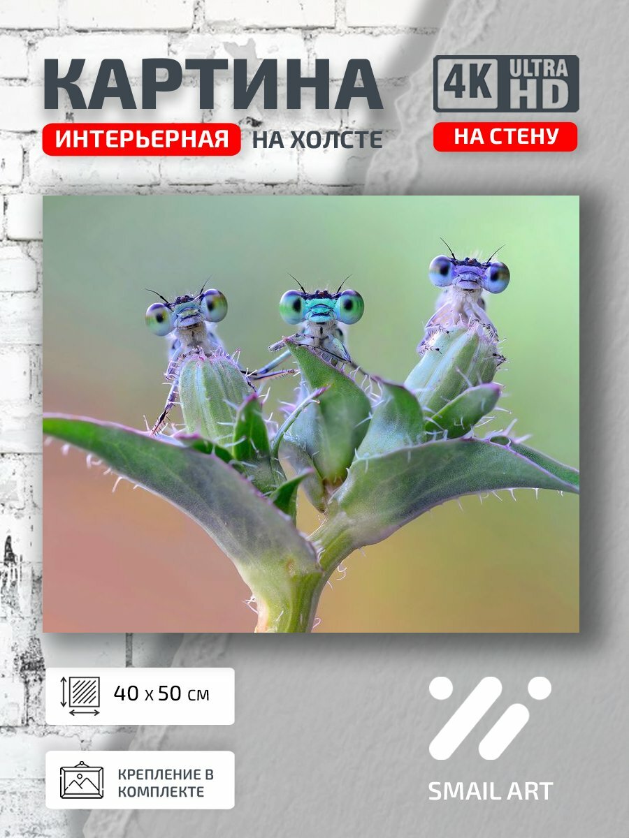 Картина на холсте интерьерная 40 на 50 на стену Богомол Landscape для спальни пейзаж декор