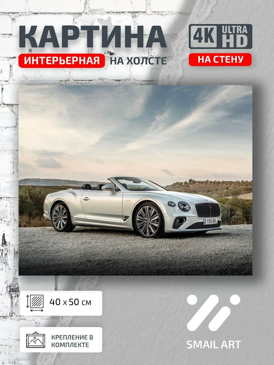 Картина на холсте интерьерная 40 на 50 на стену Speed Performance для студии атмосфера
