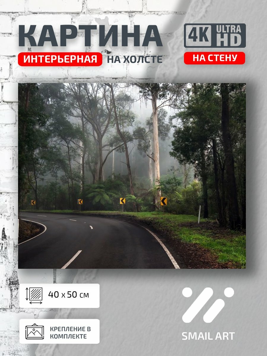 Картина на холсте интерьерная 40 на 50 на стену Лес Landscape для офиса пейзаж интерьер