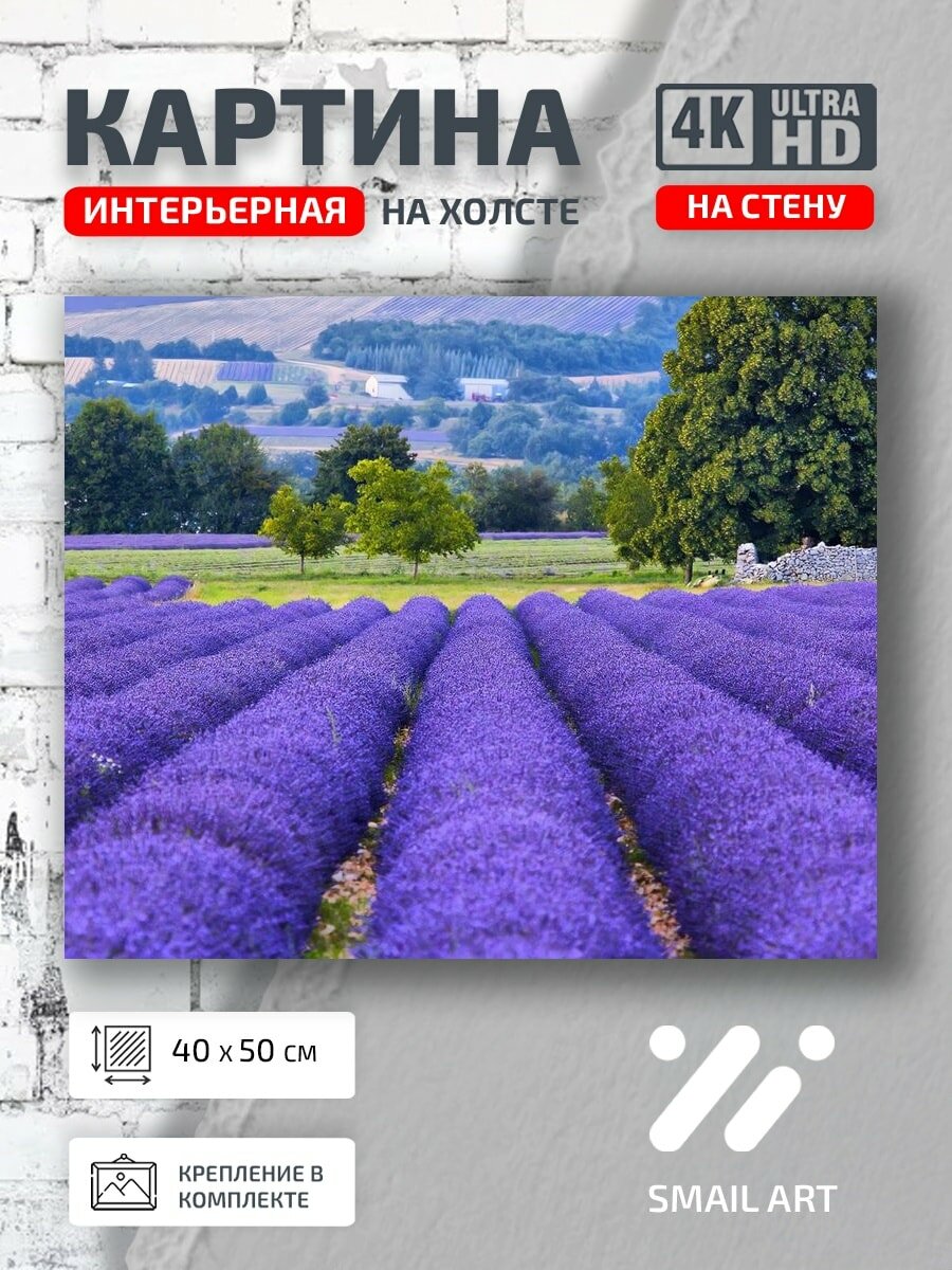 Картина на холсте интерьерная 40 на 50 на стену Пейзаж Франция для студии атмосфера
