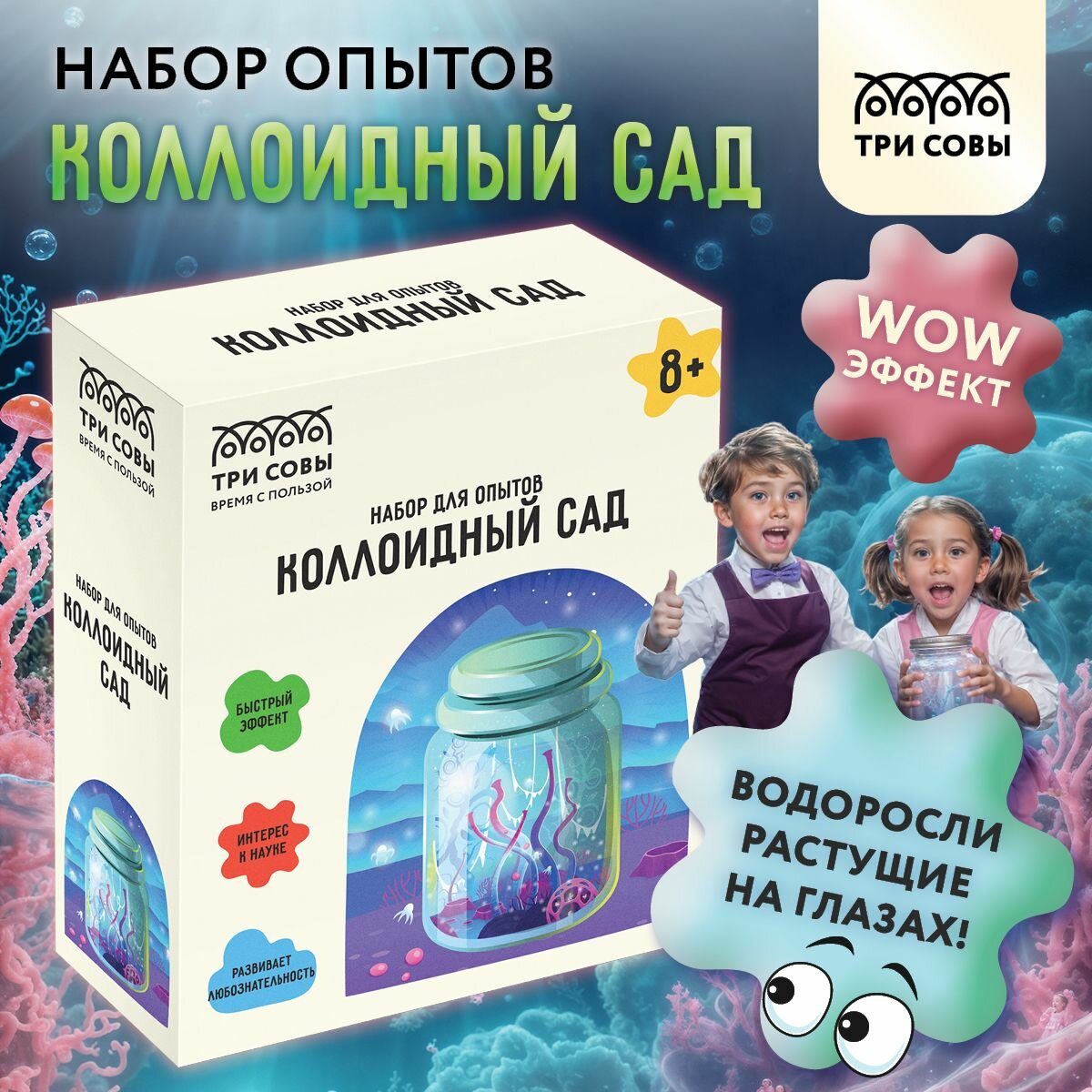 Набор для опытов ТРИ совы Коллоидный сад, научный набор для детей 8-15 лет, эксперименты с кристаллическими солями и занимательные опыты для развития интереса к науке и творческих навыков