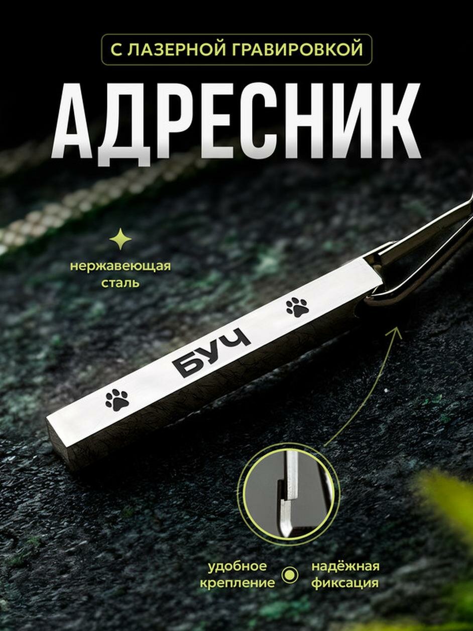 Адресник для собаки с гравировкой, нерж. сталь, серебристый, Буч