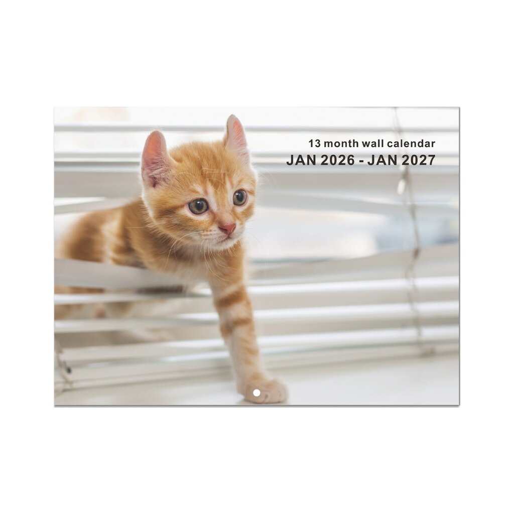 Художественный настольный календарь с изображением кошек 2026 Ярких цветов С четкой маркировкой даты Идеально подходит для любителей кошек