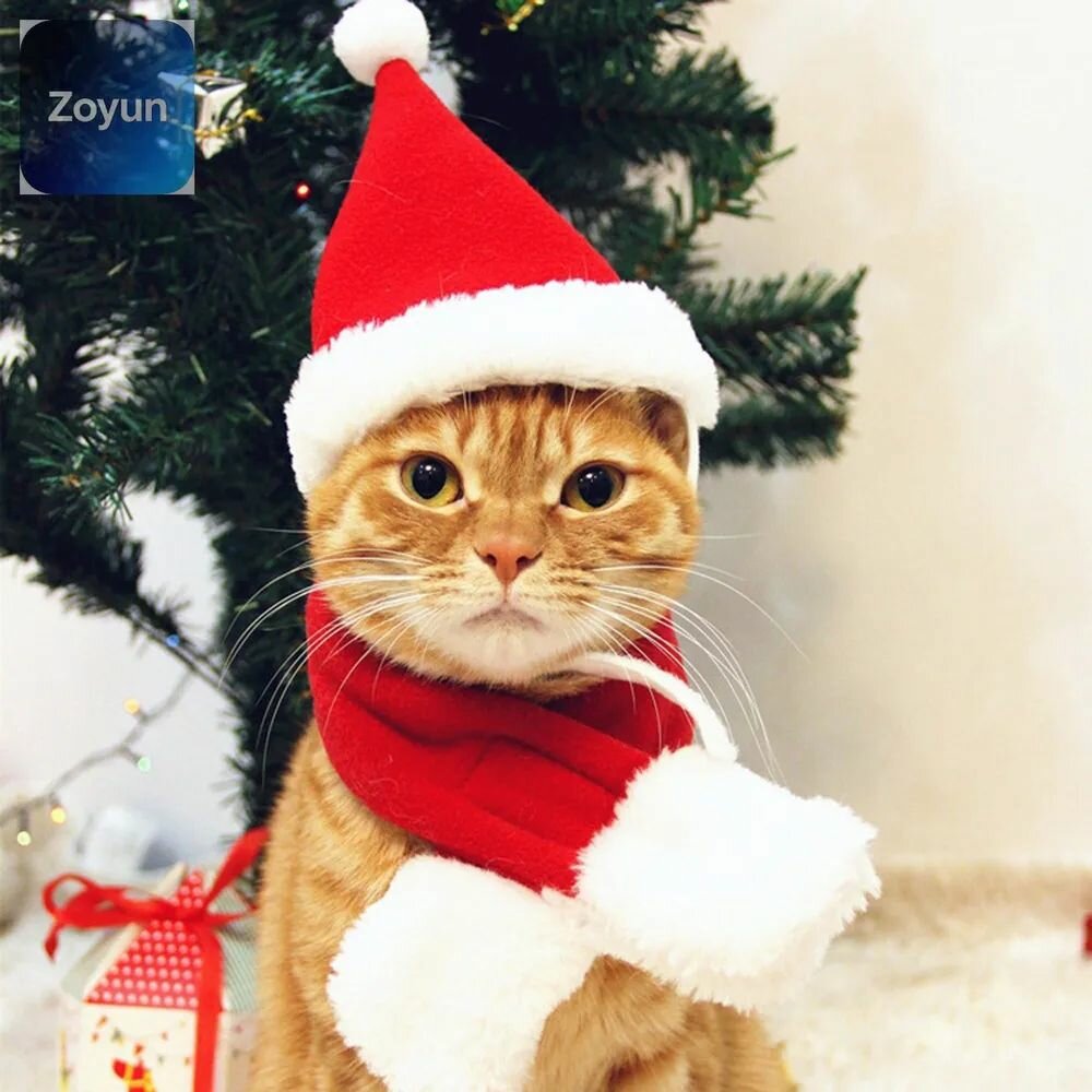 Новогодний рождественский набор-подарок из шапки-колпака и шарфа для кошек, собак и других животных GABYDOG, размер M