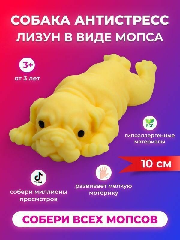 Собака антистресс мопс лизун / 10 см