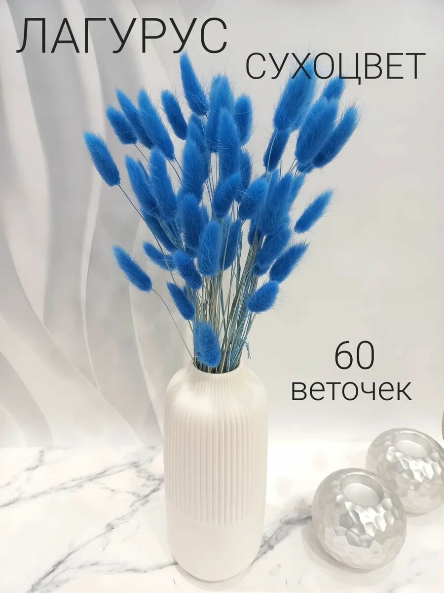 Сухоцветы Лагурус, 55 см, 100 гр, 60 шт