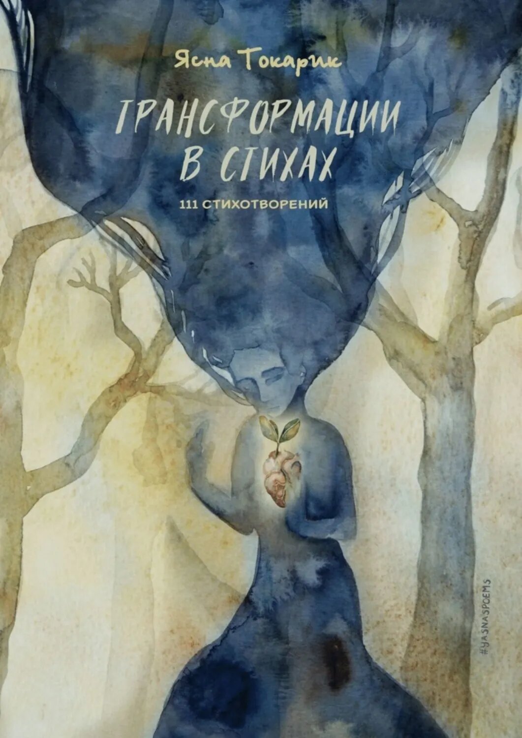 Трансформации в стихах [Цифровая книга]