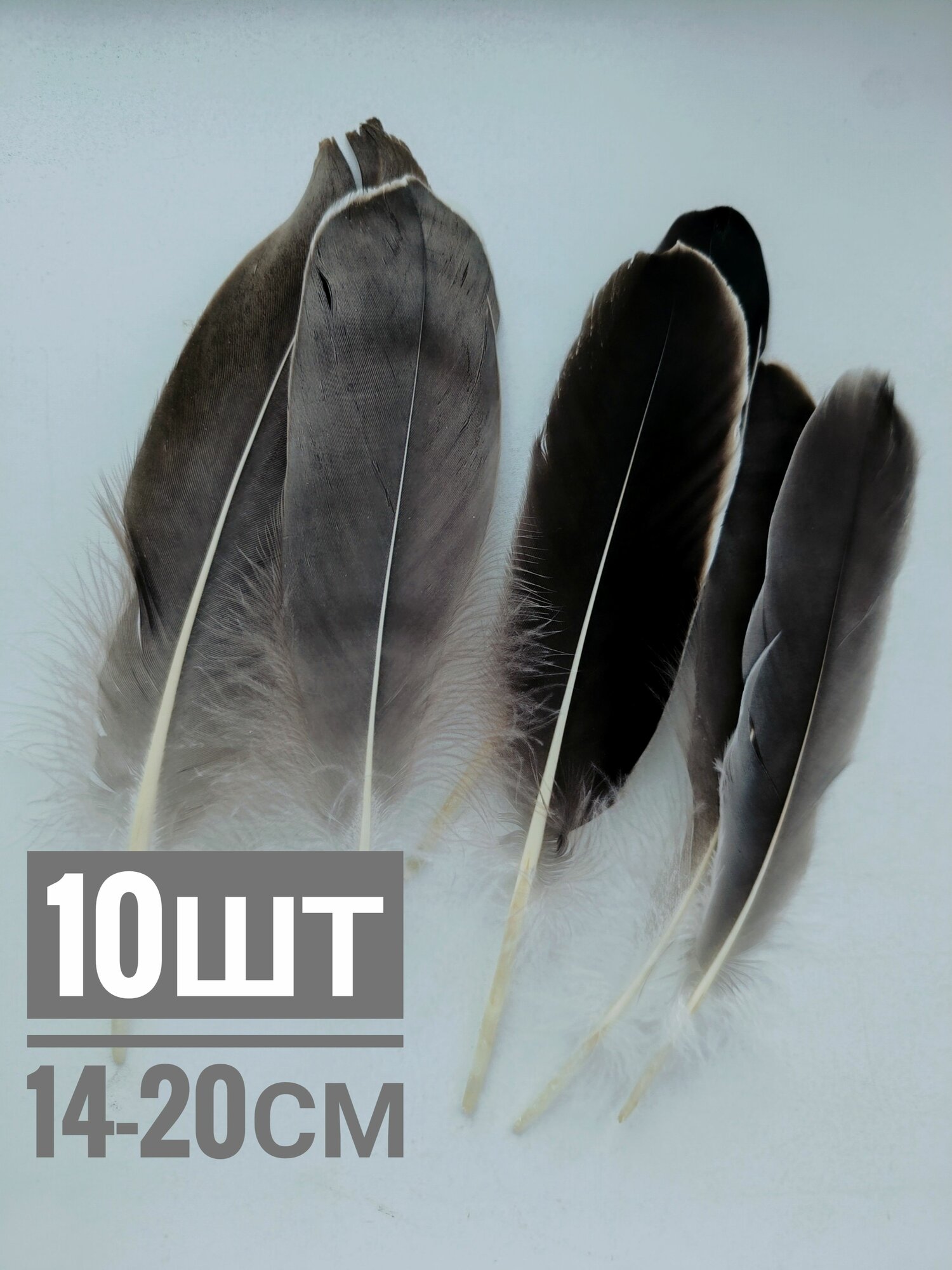 Гусиные перья для творчества и рукоделия. 10 шт. 10-20 см. ПероМарго