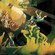 Компакт-диск Greenslade - Greenslade (2 CD)
