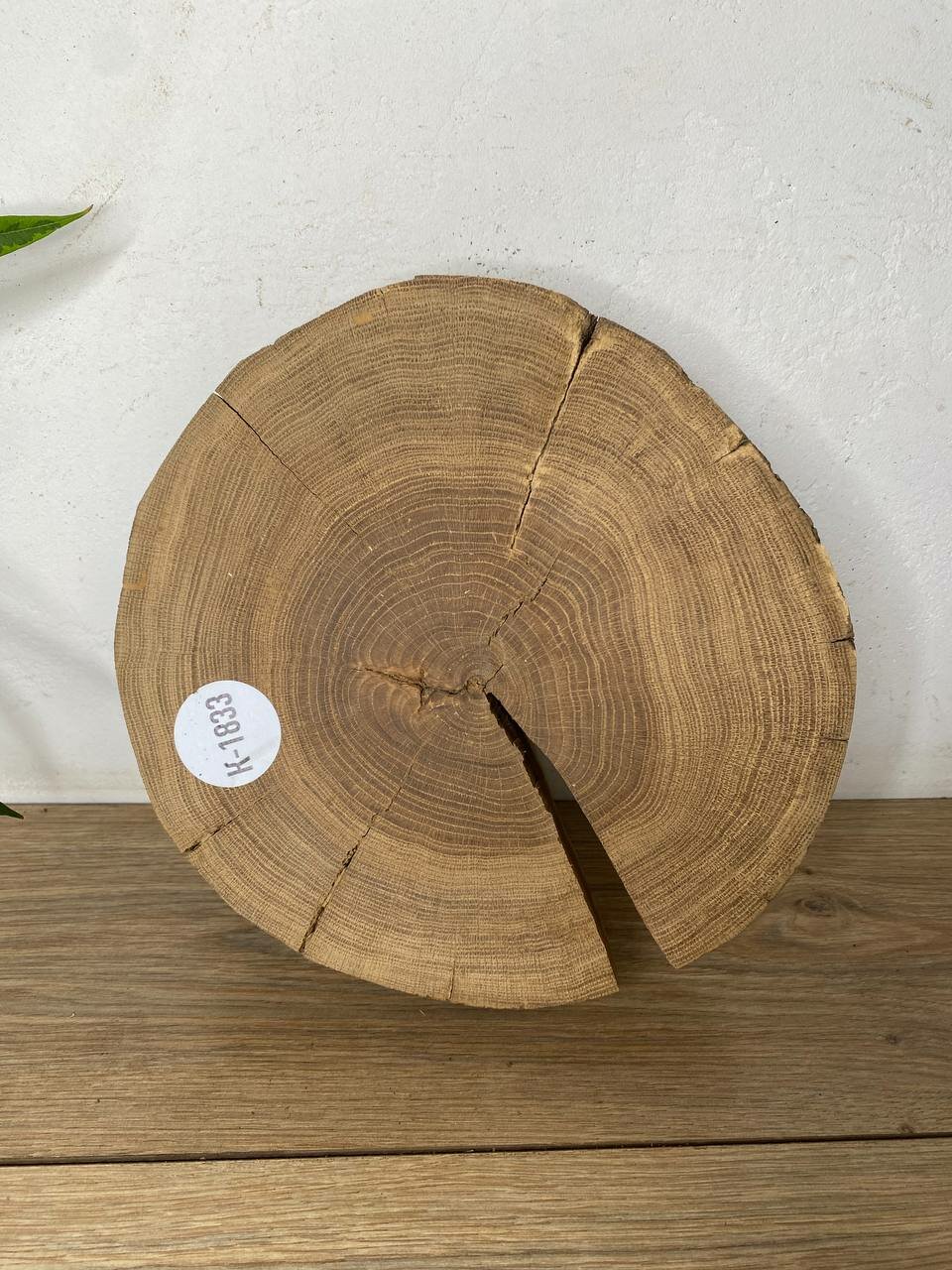 Спил дуб с обработанным краем , размер 27х26х5 см, шлифованный с 2-х сторон, арт к1833