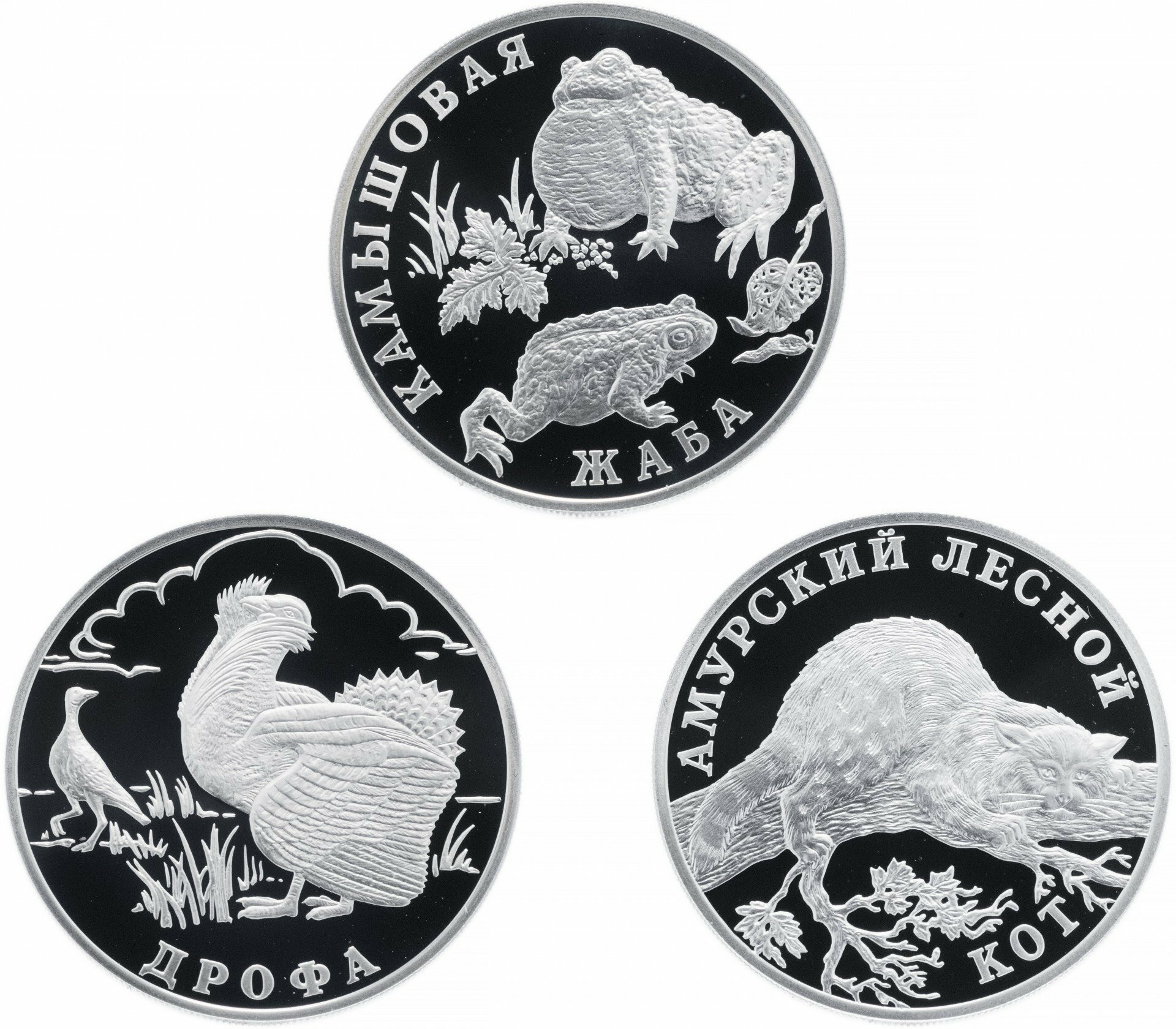 Набор из 3х монет 1 рубль 2004 СПМД Proof "Красная книга - кот, дрофа, жаба", Серебро 900