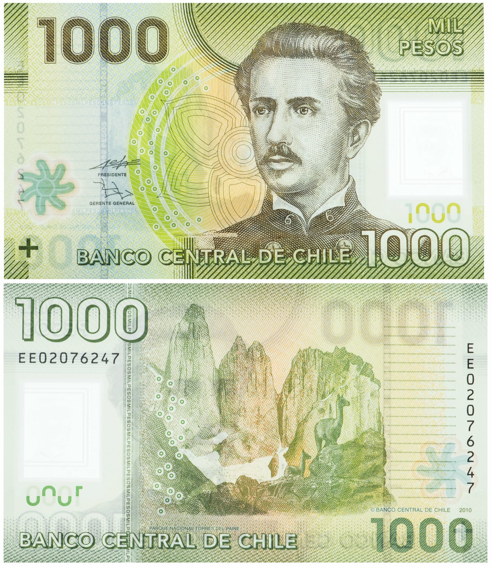 Чили 1000 песо 2010 Гуанако лама гуанико в Национальном парке Торрес-дель-Пайне Pick 161 пластик