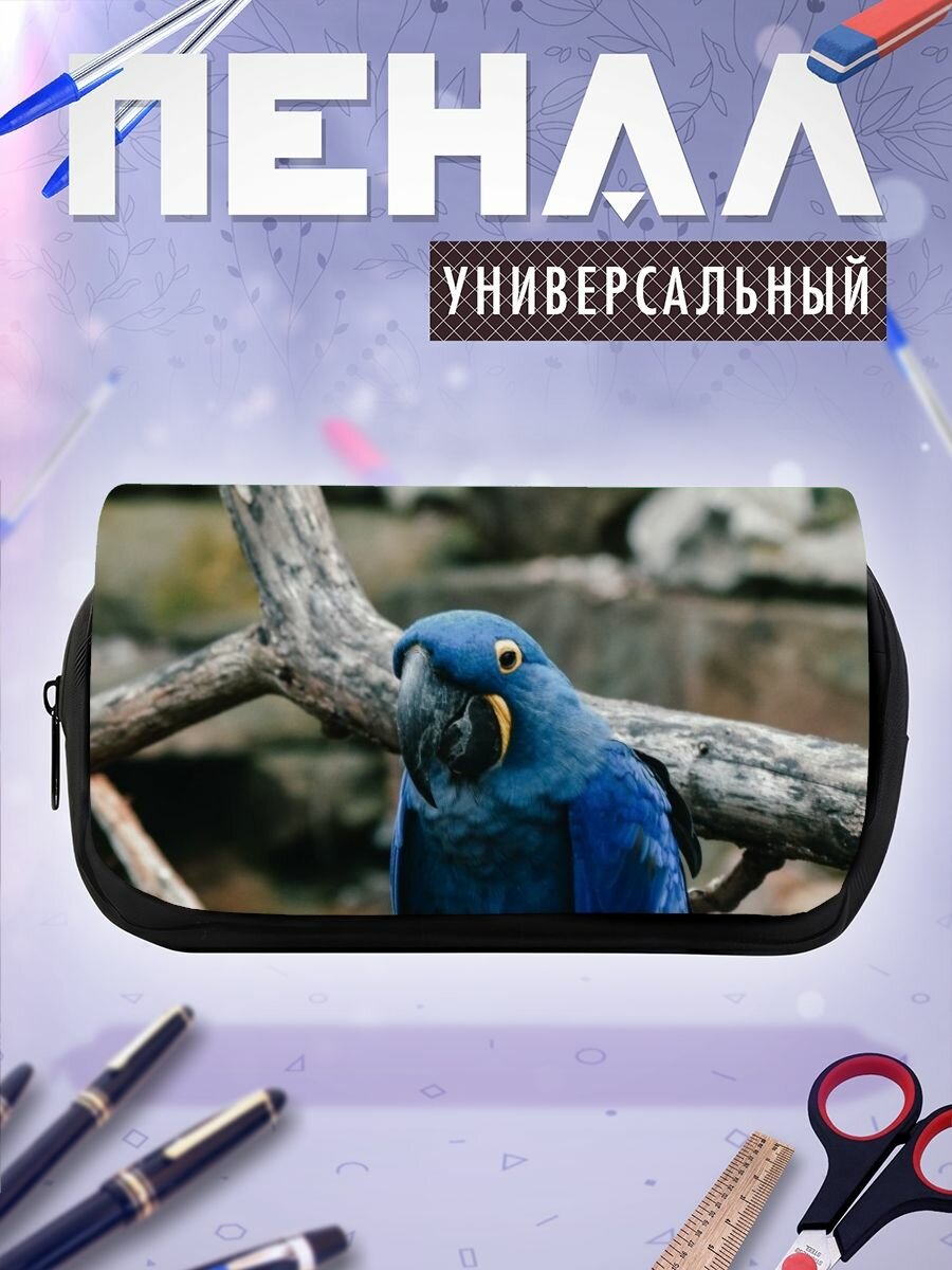 Школьный пенал Ара птица