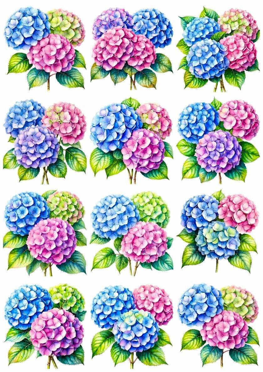 Водорастворимая картинка для мыла А4 Гортензии