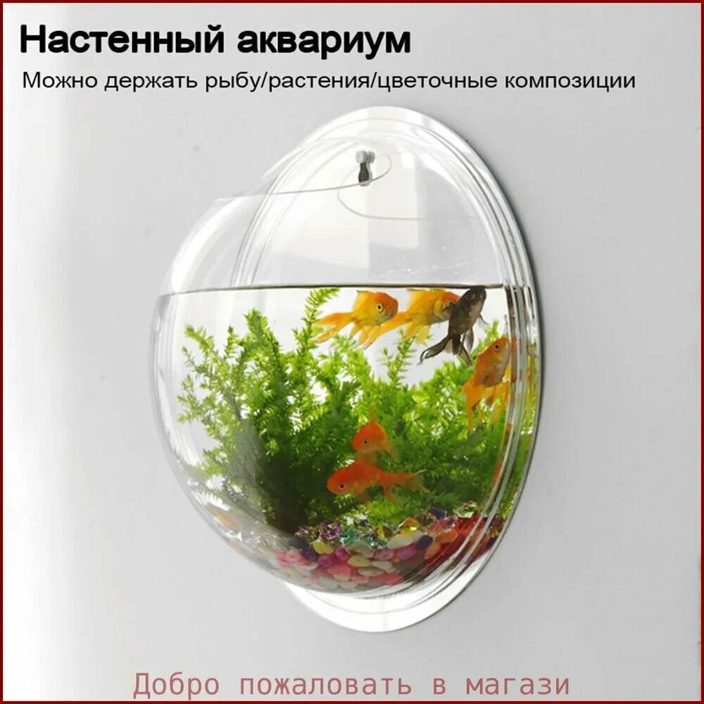 Украшение для стен настенный экологический декоративный аквариум рыб (15*15 см) -зеркальная поверхность