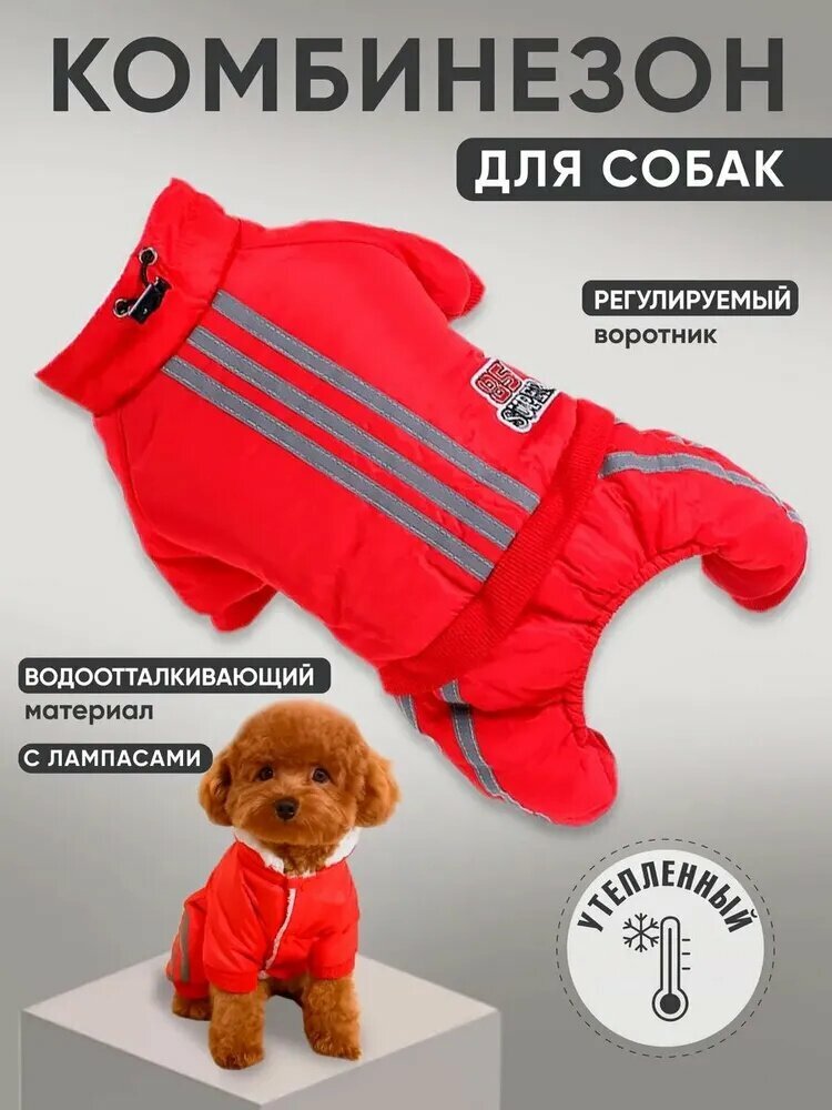 Одежда для собак зимняя утепленная на флисе с отверстиями для лап и петлей, ромбовидный узор, для той-терьера