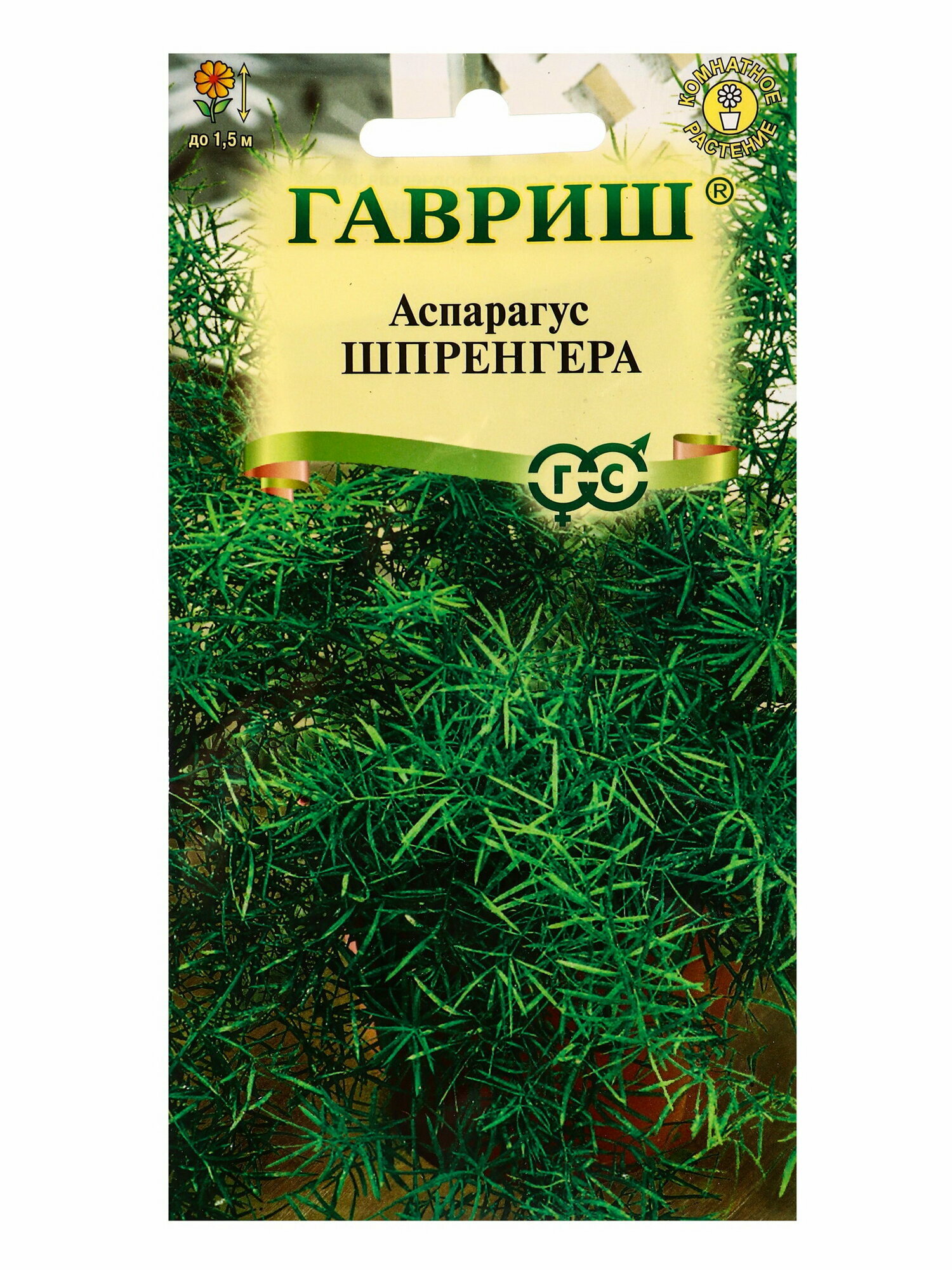 Семена цветов Аспарагус густоцветковый Шпренгера* 4 шт, размер упаковки: 8 x 0.3 x 15 см.