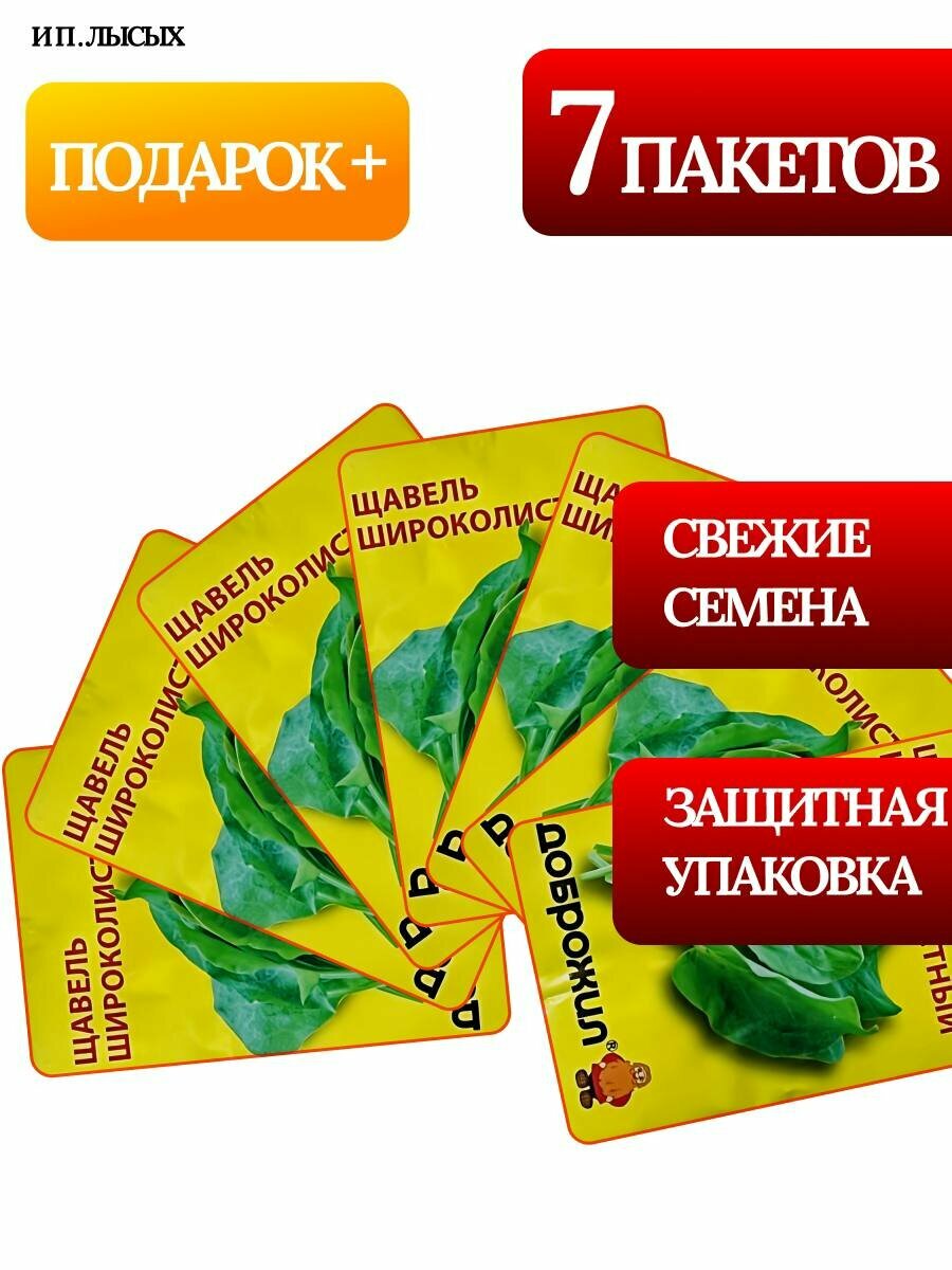 Семена Щавель "Широколистный"