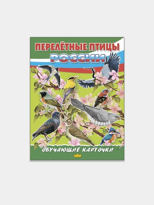 Перелетные птицы России, серия "Обучающие карточки", большой формат