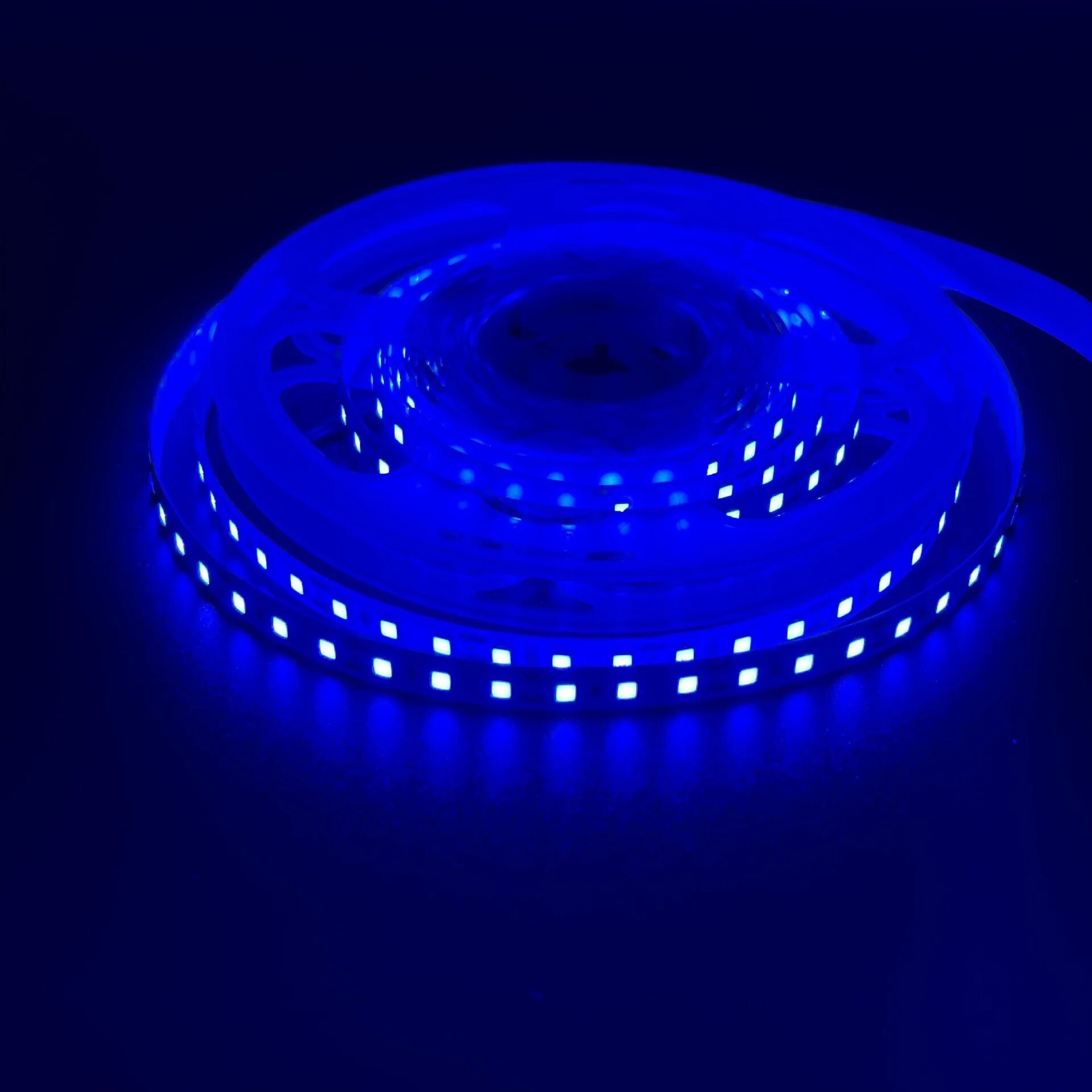 Светодиодная лента Blue 5м, 600 LED, 12V, IP20