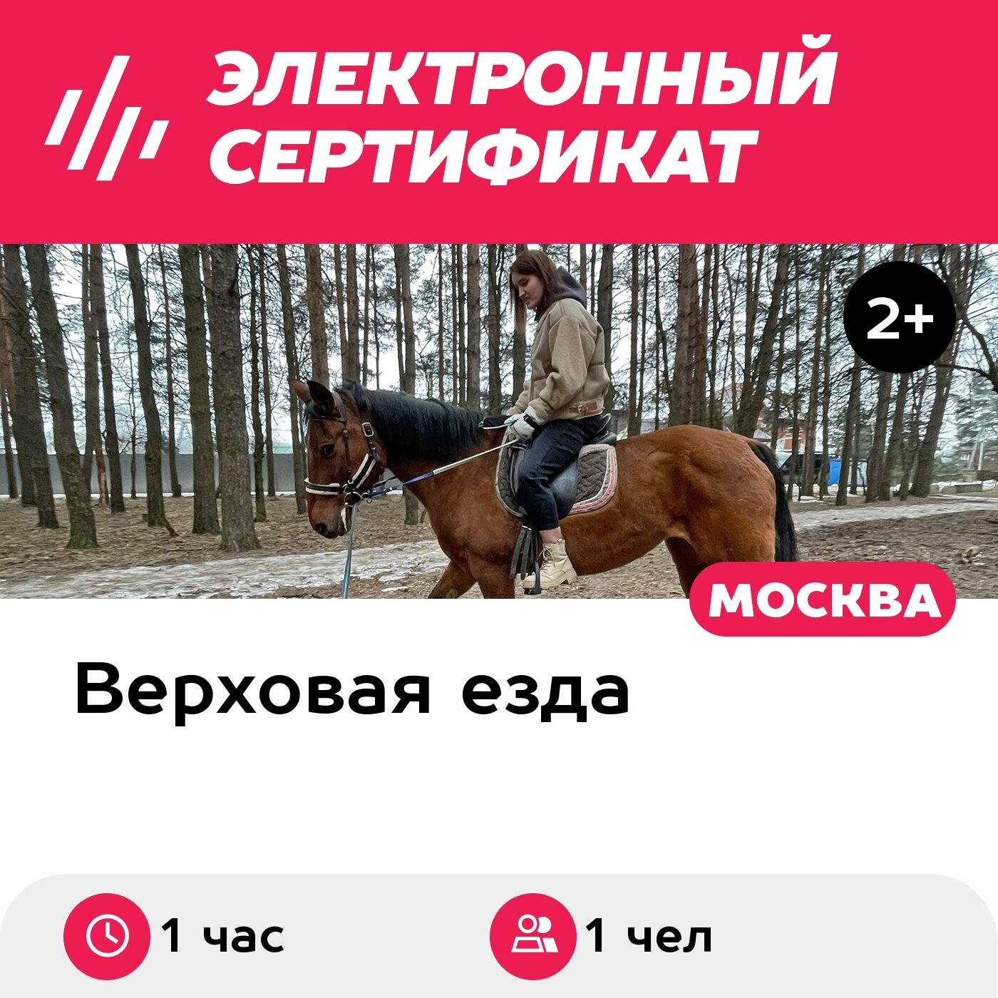 Подарочный сертификат Индивидуальное обучение верховой езде с тренером, 1 чел, 1 час, выходные