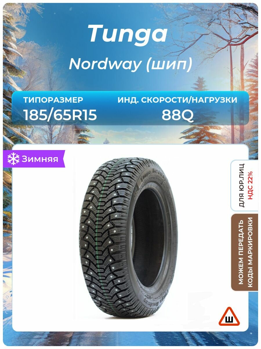 Шина Tunga Nordway
