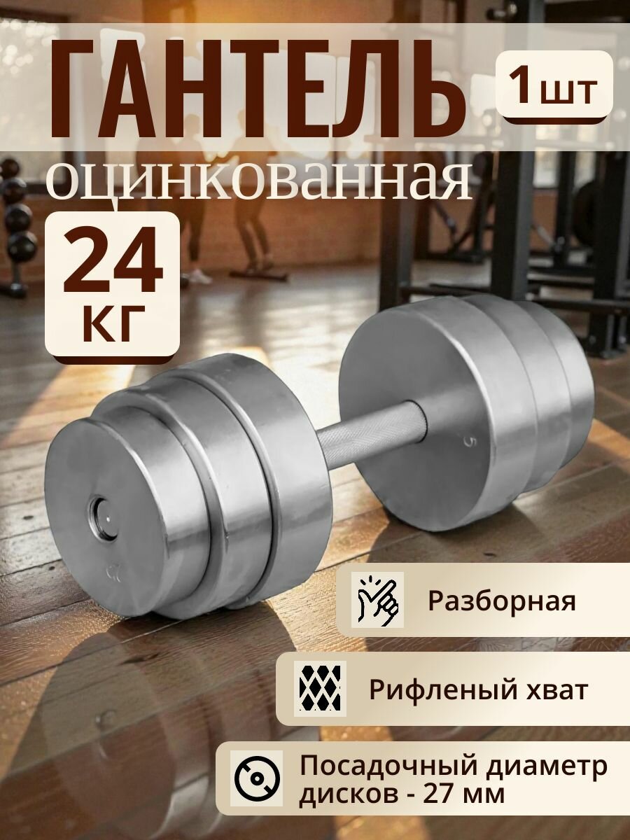 Гантель разборная 24 кг, оцинкованная