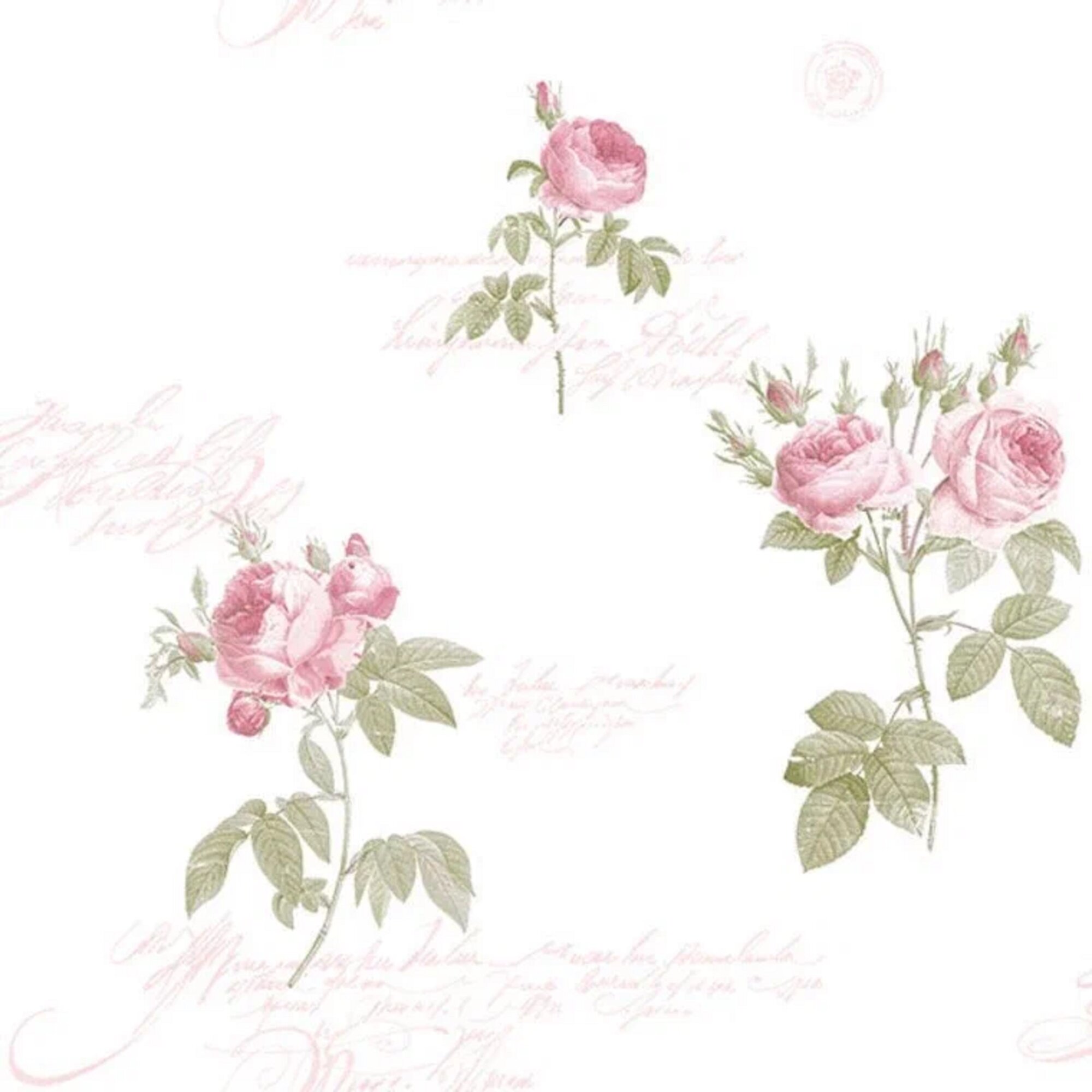 Обои Aura Rose Garden CG28820; 0,53х10,05 м. , бумага , розовый, Малиновый