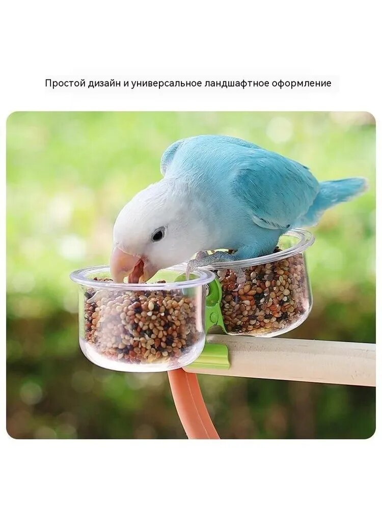 Миска для попугая — фото 1