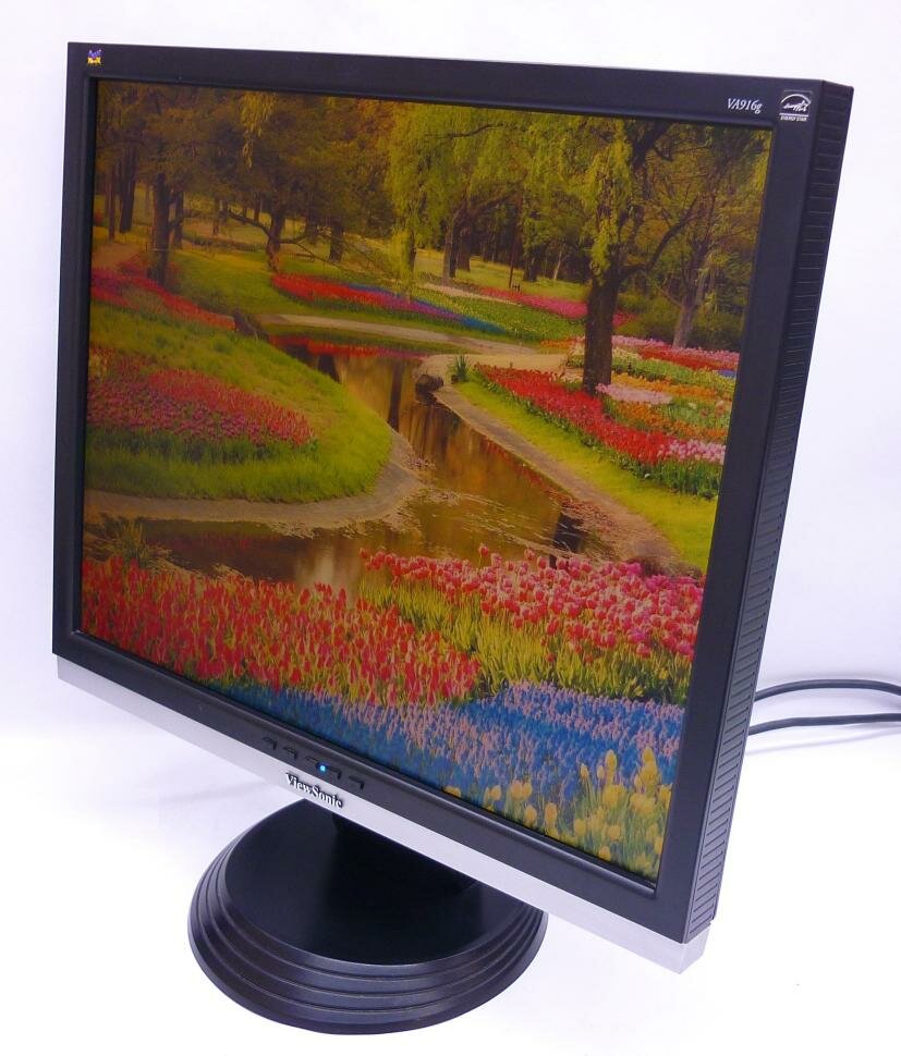 Монитор 19" Viewsonic VA916g
