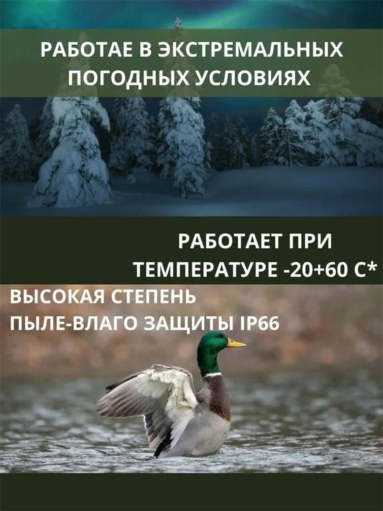 Фотоловушка — фото 1