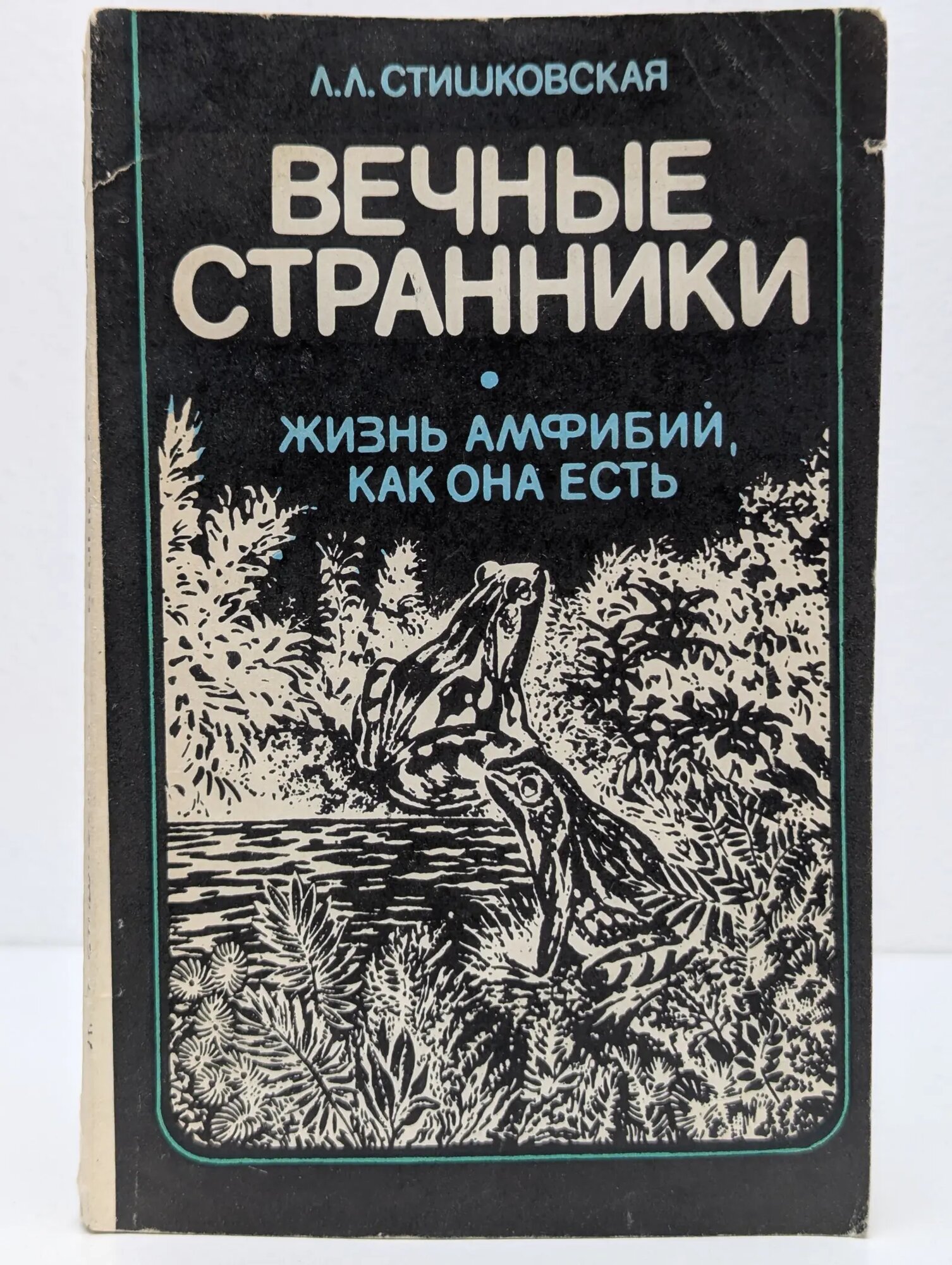 Вечные странники. Жизнь амфибий, как она есть Стишковская Людмила Леонидовна 1988