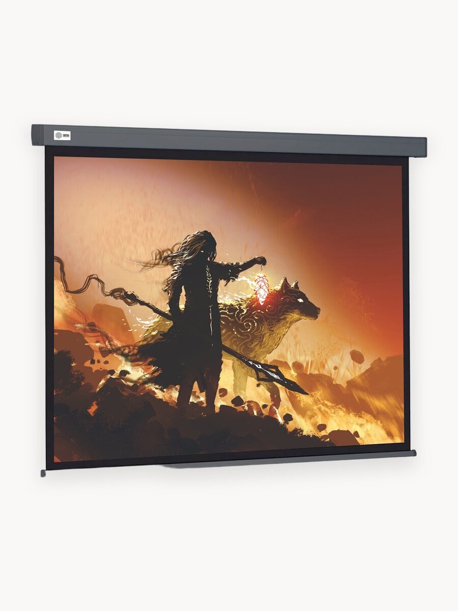 Экран для проектора Cactus Wallscreen CS-PSW-213X213-SG 118.59", 213x213 см
