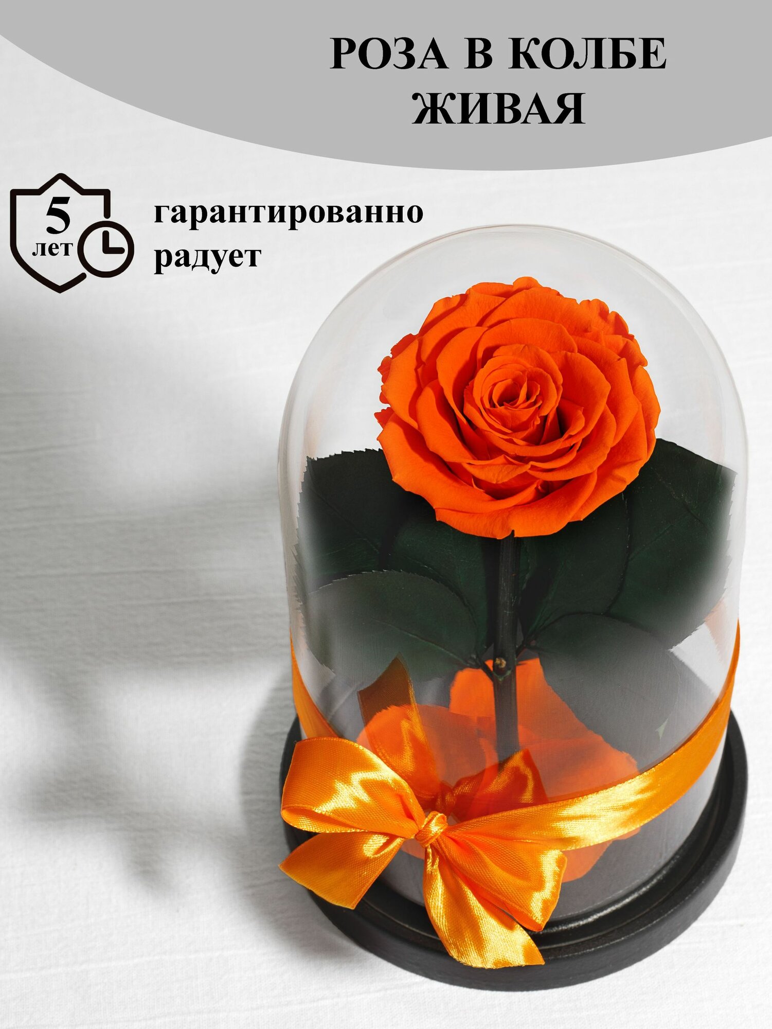 Стабилизированные цветы в стекле, Роза в колбе живая Bella оранжевая, GIFT4YOU
