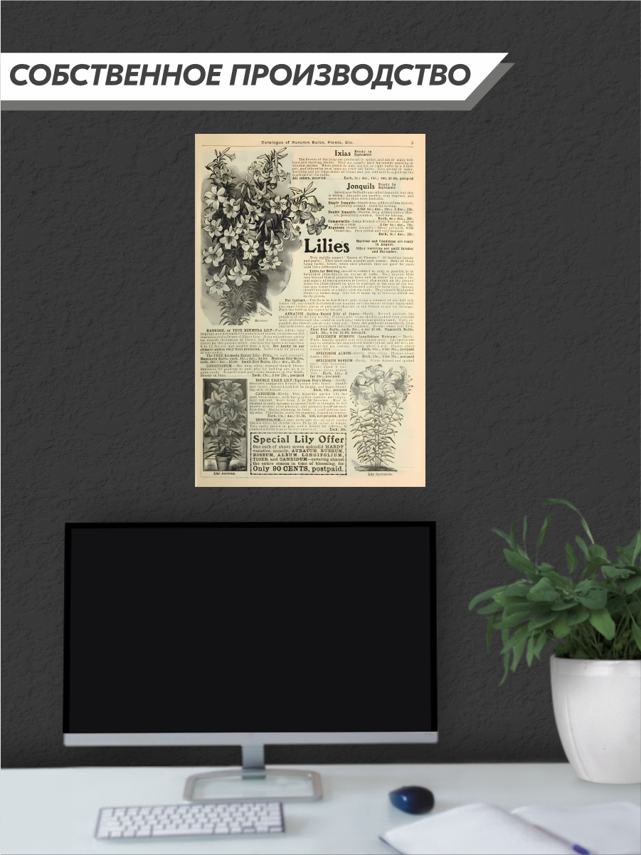 Постер цветы винтаж — фото 1