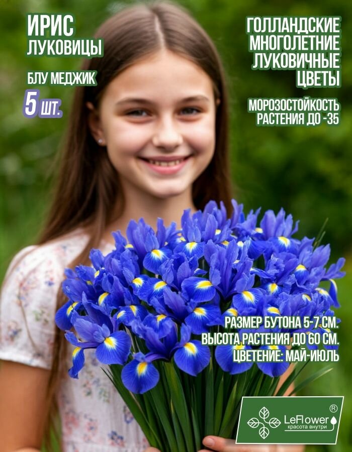 Ирис луковицы 5шт, Блю Меджик