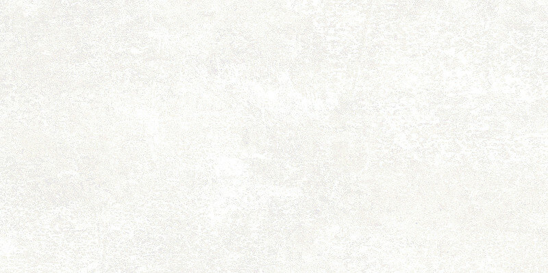 Керамическая плитка Alma Ceramica Piemonte TWU09PMT004 настенная 24,9х50 см белый