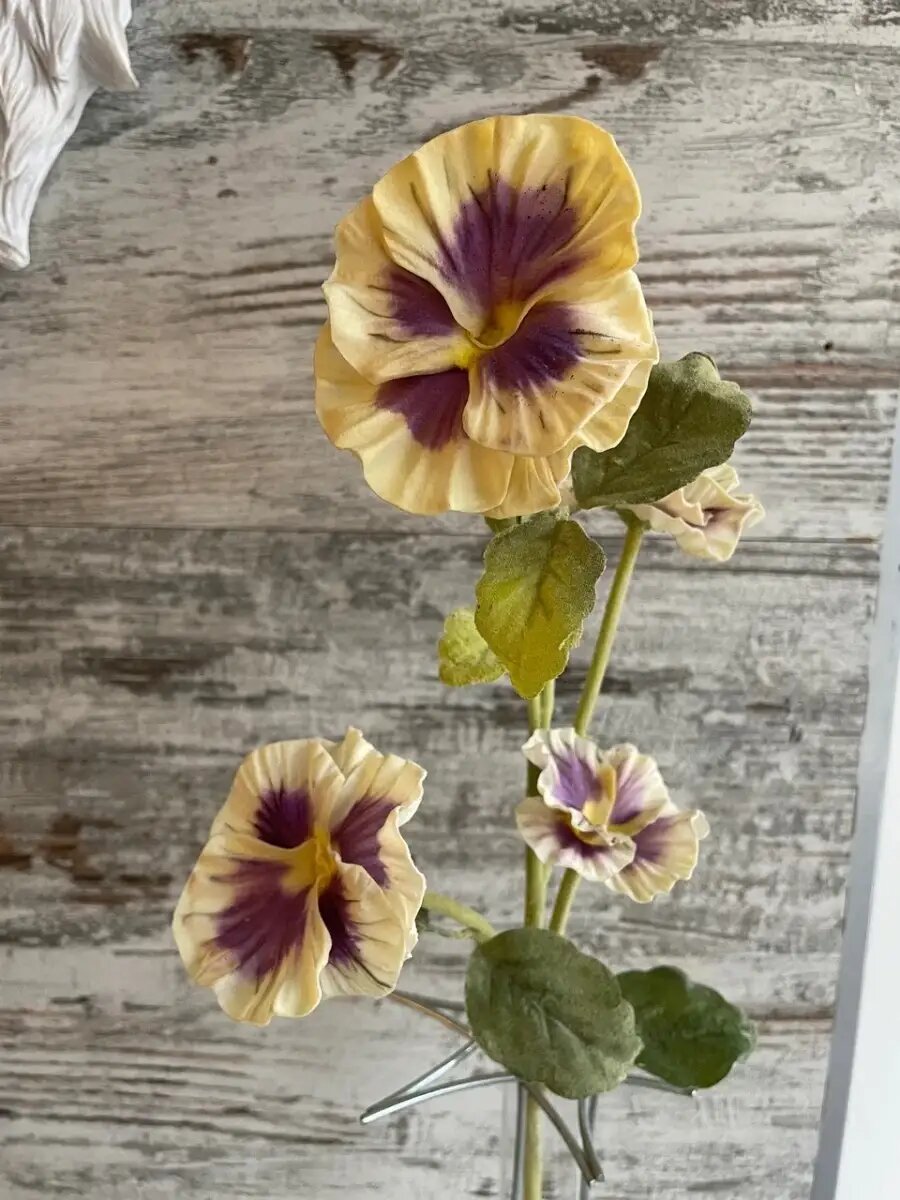 Анютины глазки фиолетовые, 30 см