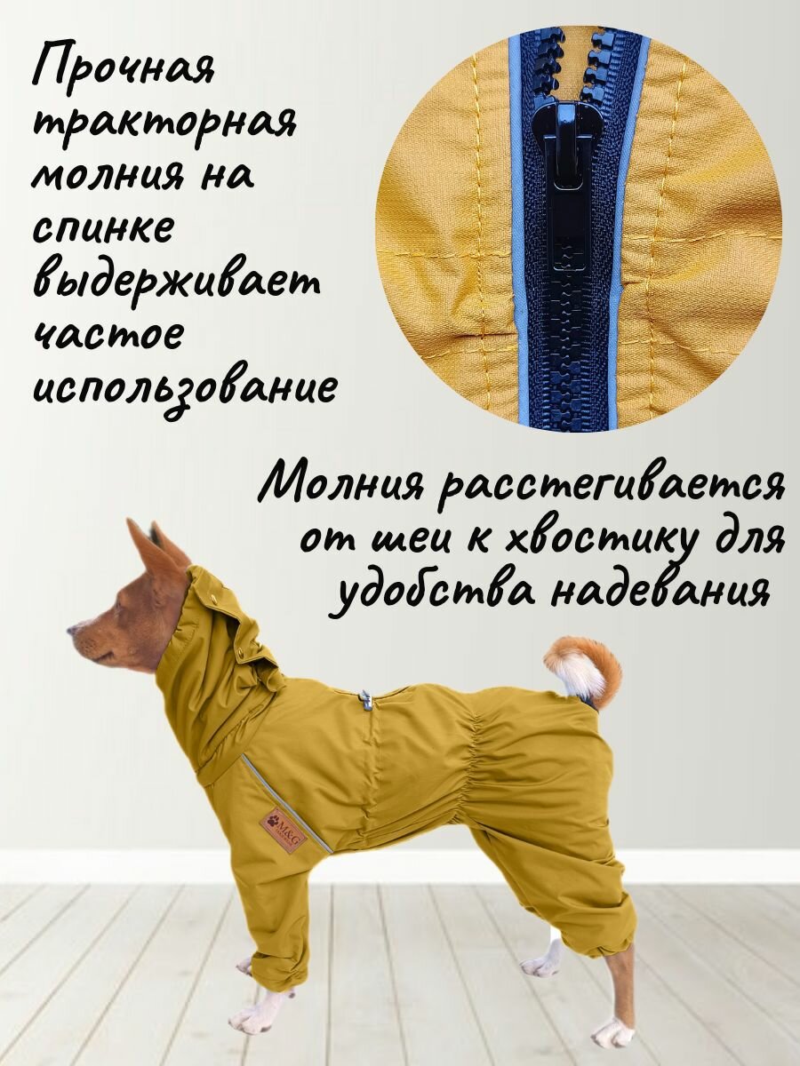 Одежда для животных — фото 1