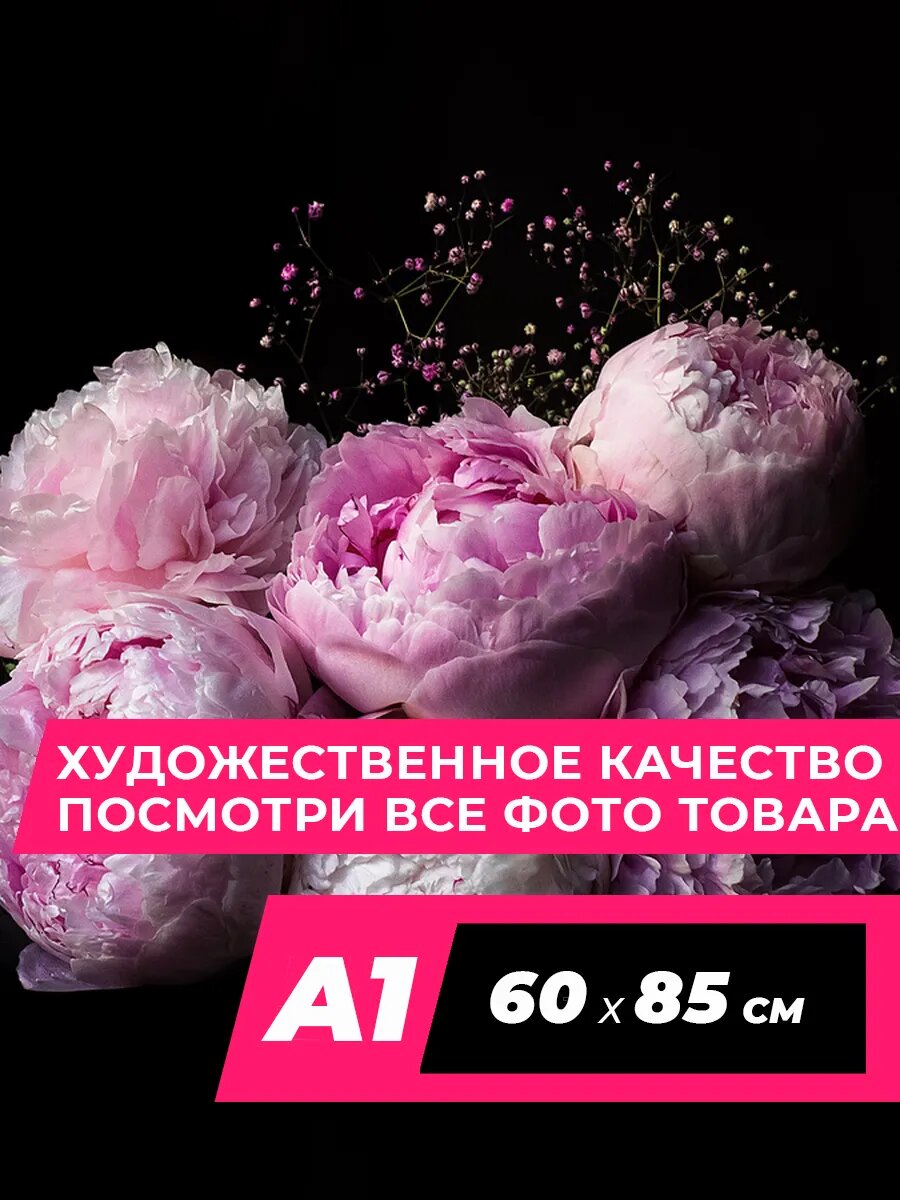 Постер пионы на стену 74 Paeonia A1, матовая фотобумага премиум качества