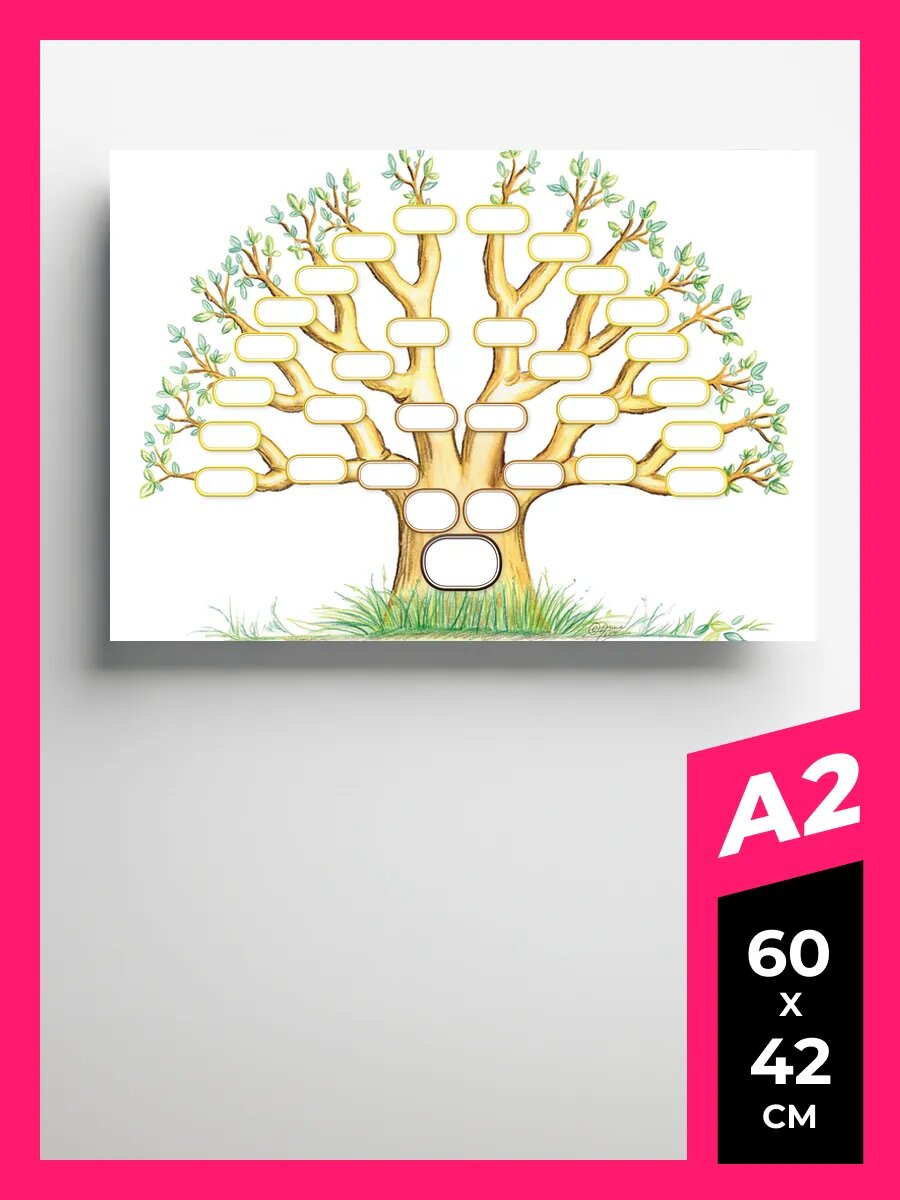 Плакат Семейное древо постер 10 A2, матовая фотобумага премиум качества