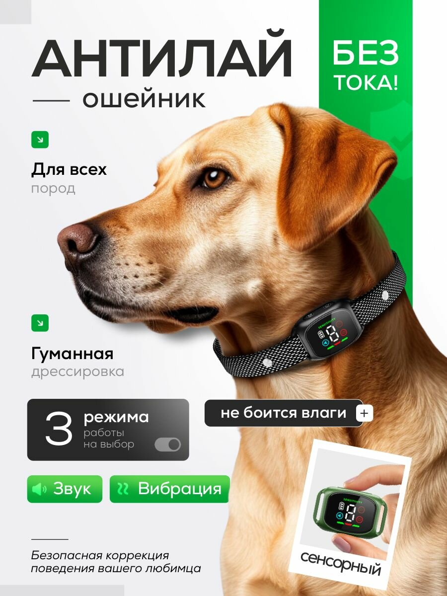 Ошейник антилай для собак с вибрацией, без тока, антивой, от лая